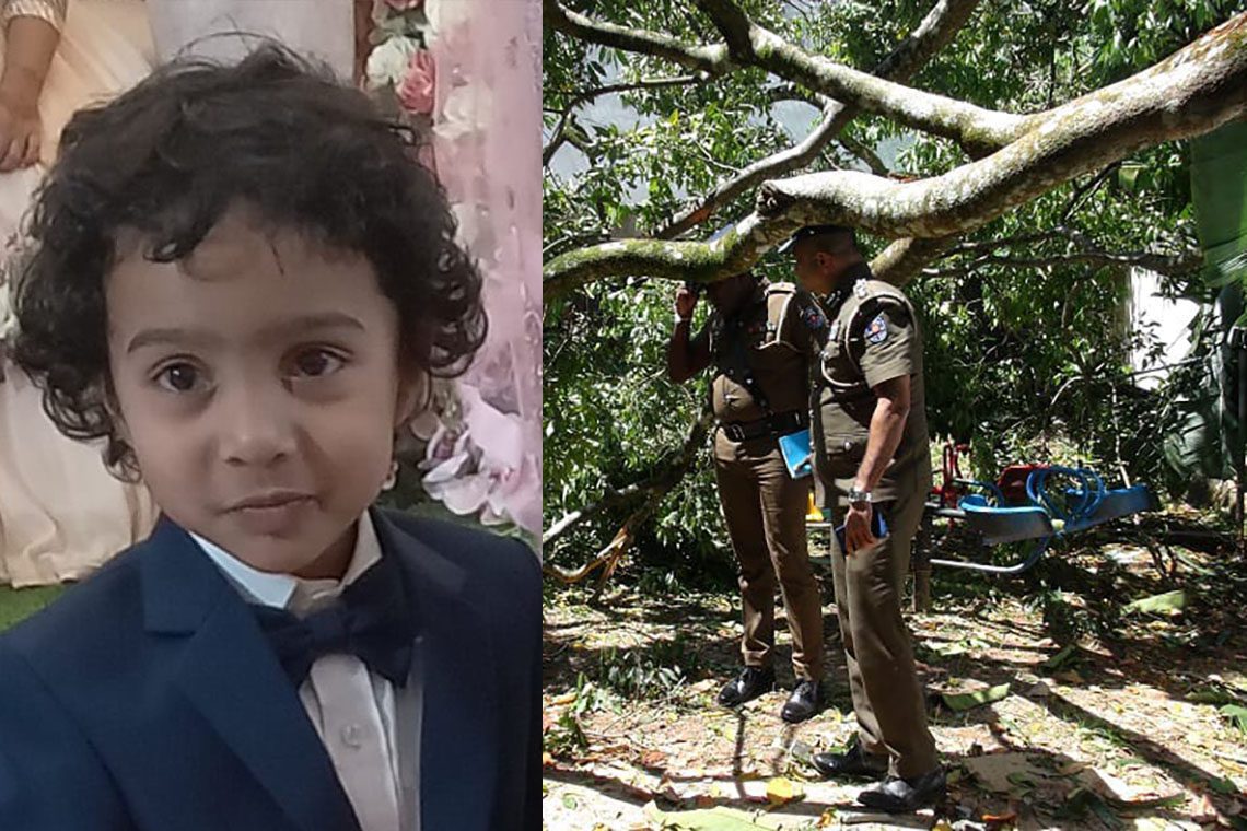 Fallen Tree Claims The Life Of A Five Year Old Pre School Student